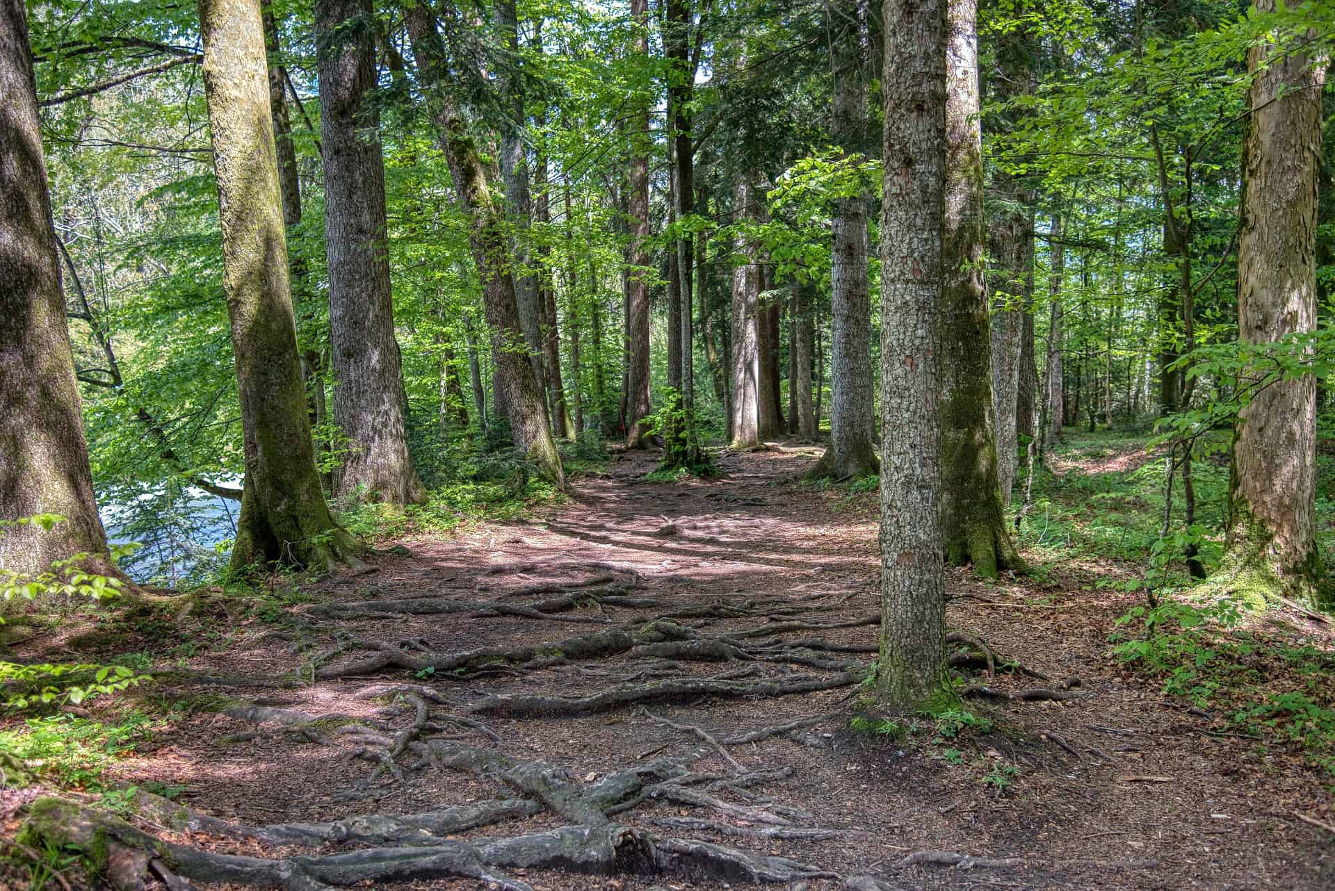 Home - The Invisible Map